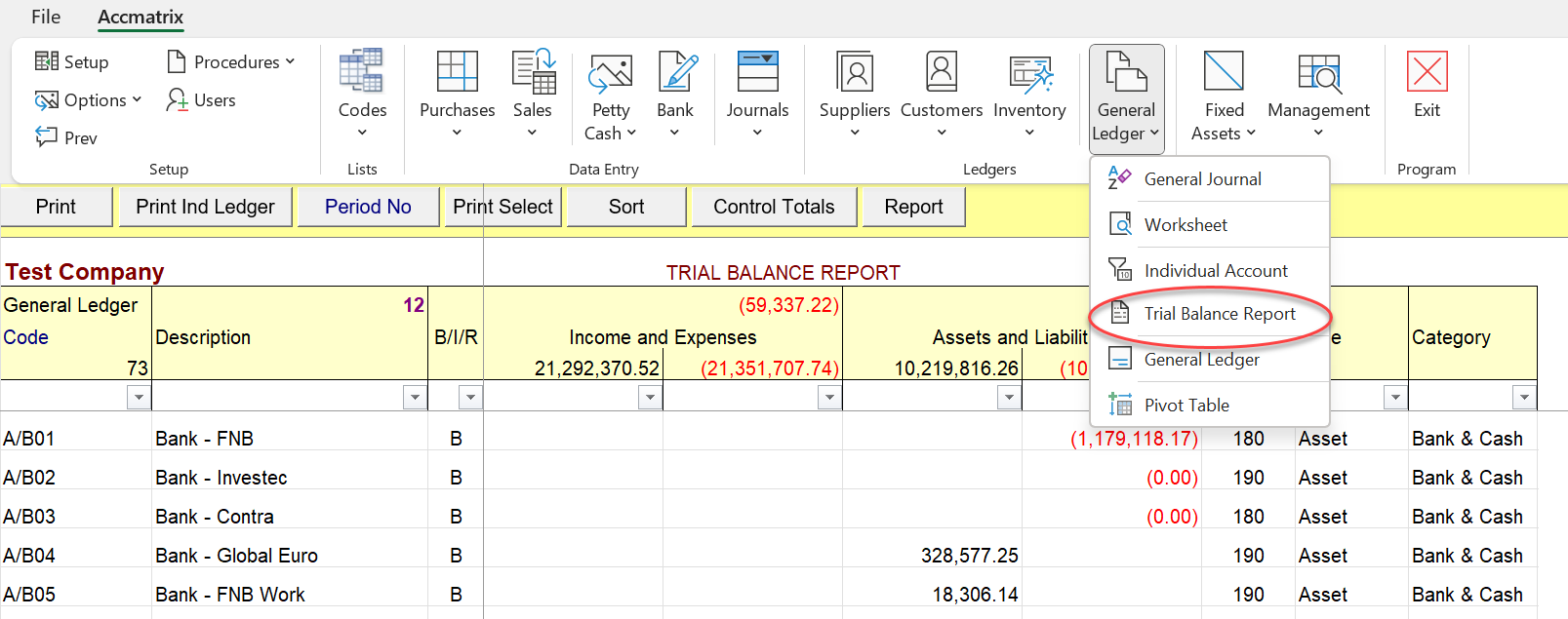 Trial Balance - Accmatrix
